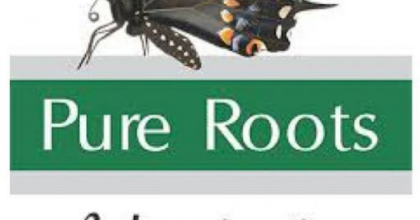 Pure Root